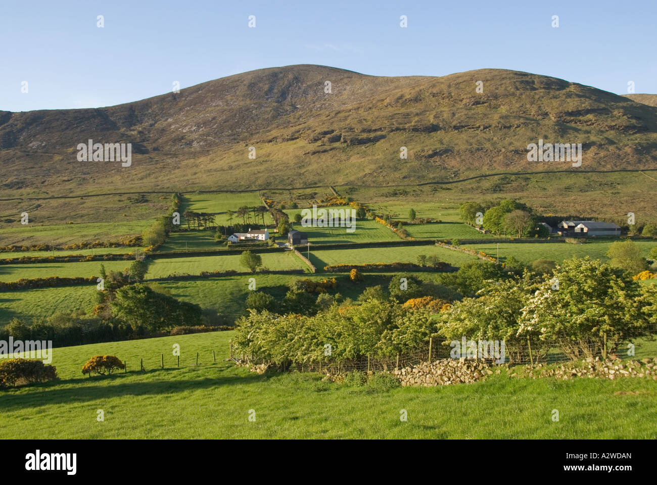 Northern Ireland County Down Mourne Mountains Stock Photo - Alamy