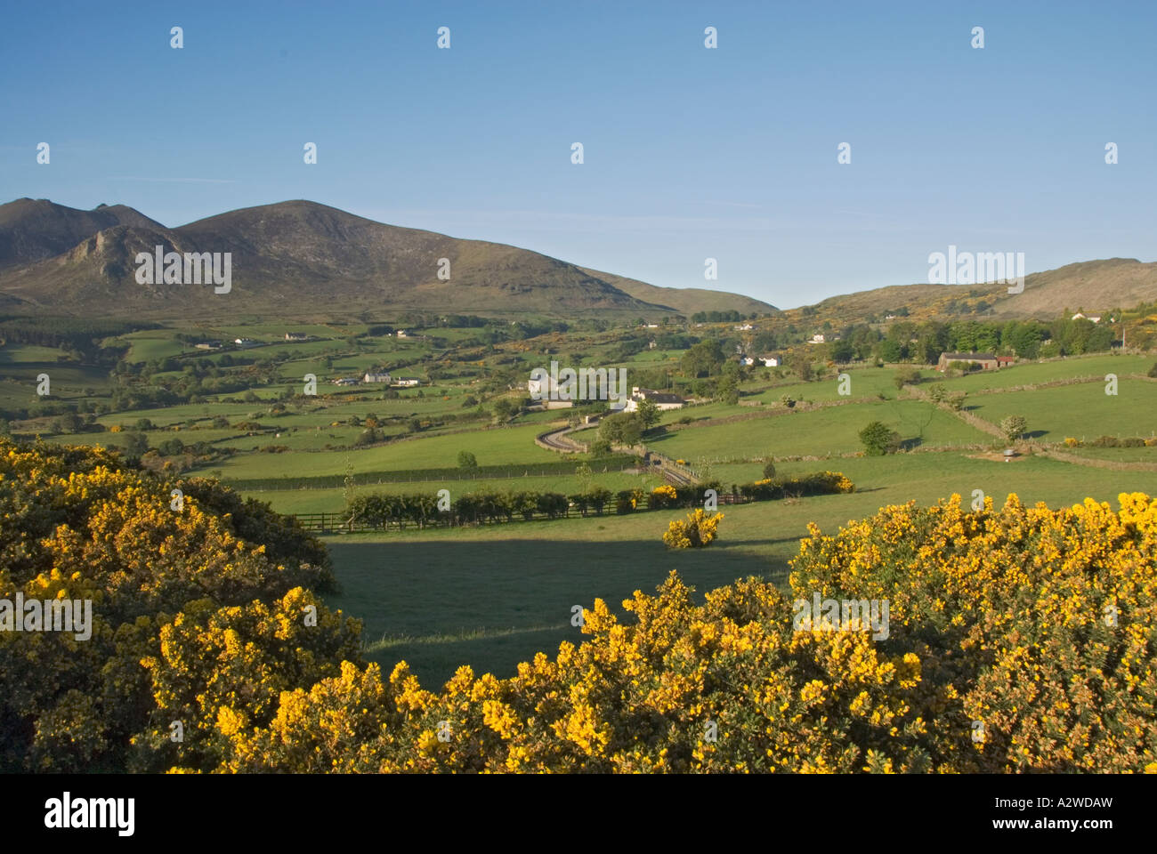 Northern Ireland County Down Mourne Mountains Stock Photo - Alamy