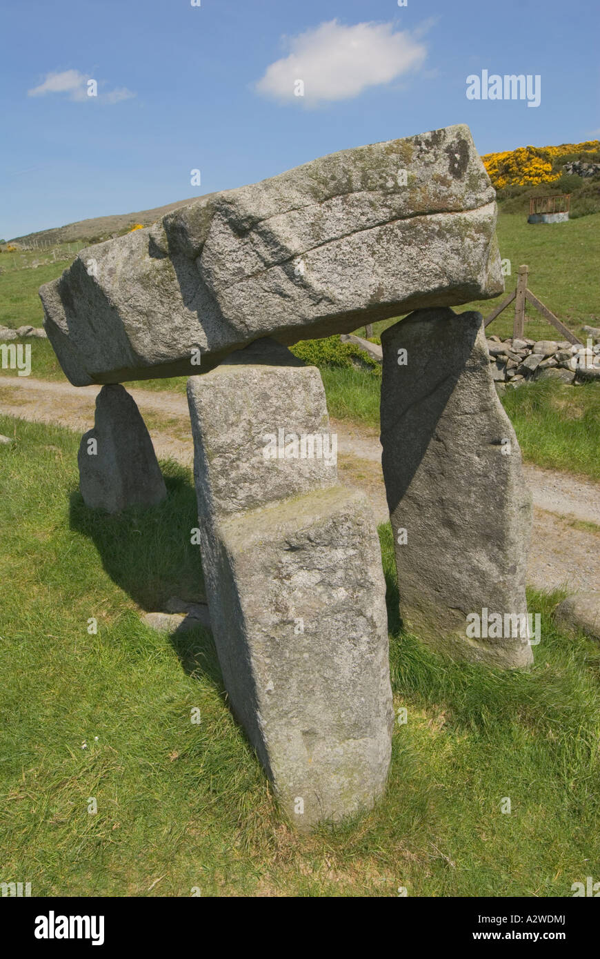 Northern Ireland County Down Legananny Dolmen portal tomb Stock Photo ...