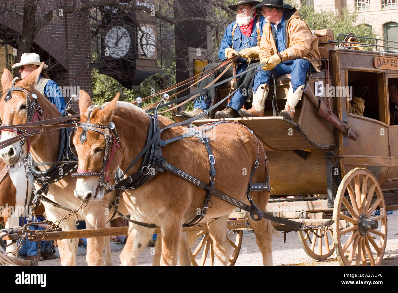 Downtown rodeo parade hi-res stock photography and images - Alamy