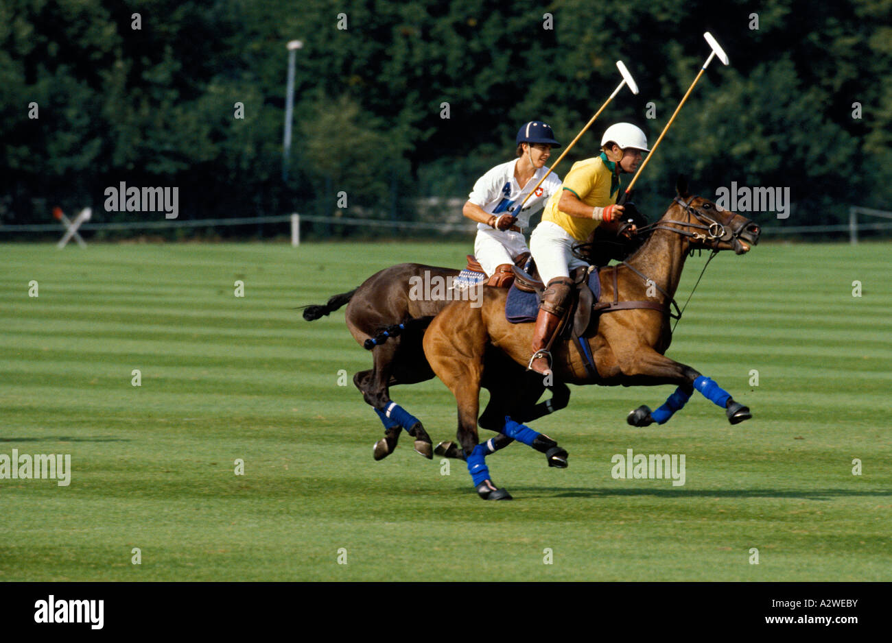 Berlin Germany Polo tournament on the Maifeld Stock Photo - Alamy