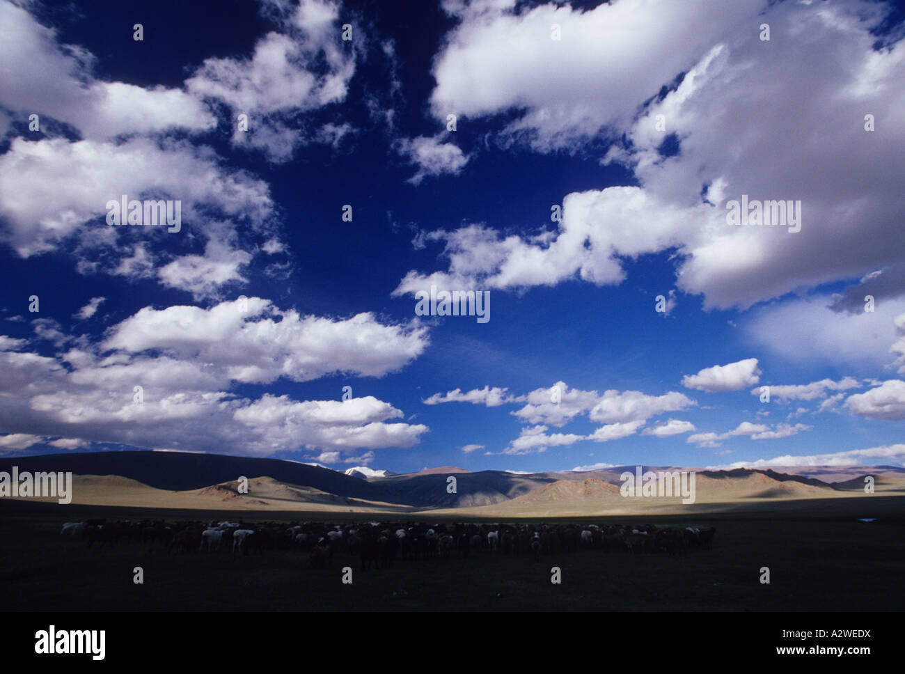 Western steppes hi-res stock photography and images - Alamy