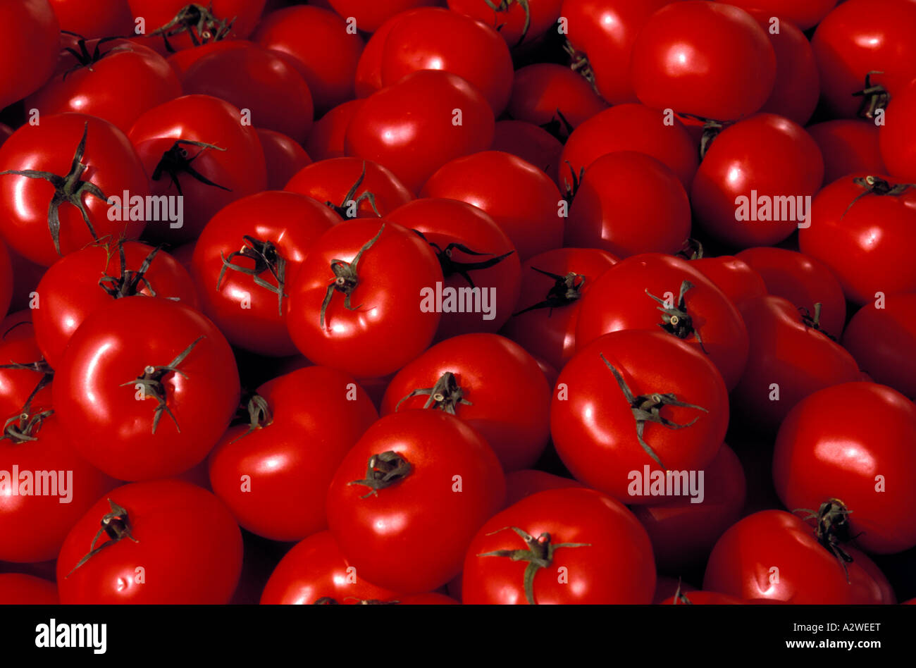 Red ripe tomatoes Stock Photo - Alamy