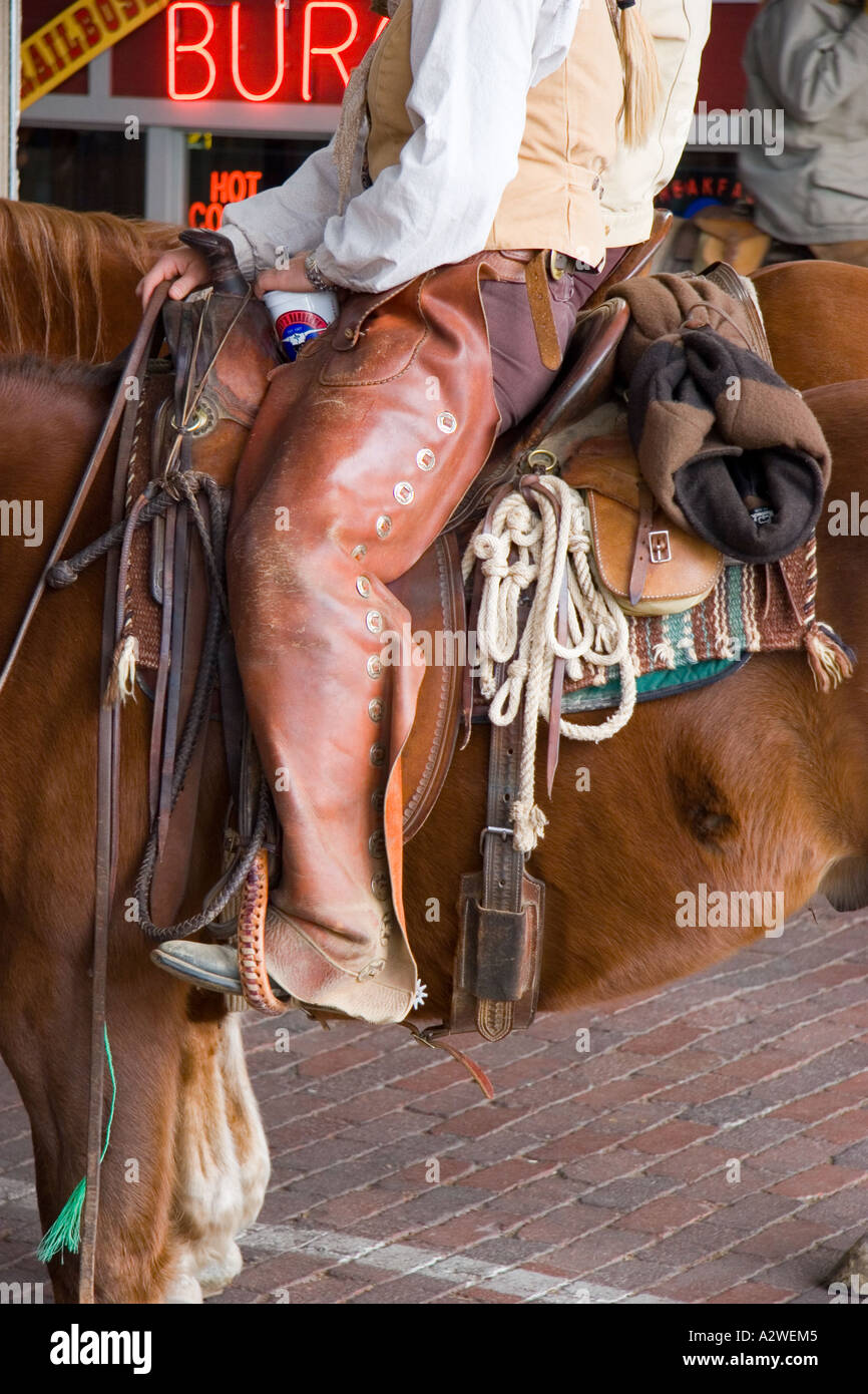 Saddlebag Horse High Resolution Stock Photography and Images - Alamy