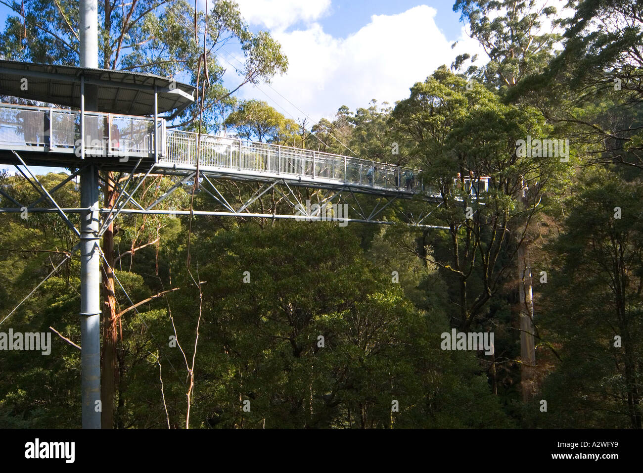 Aerial rainforest canopy walkway hi-res stock photography and images ...