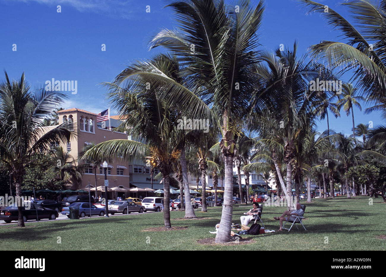 Palmen miami hi-res stock photography and images - Alamy