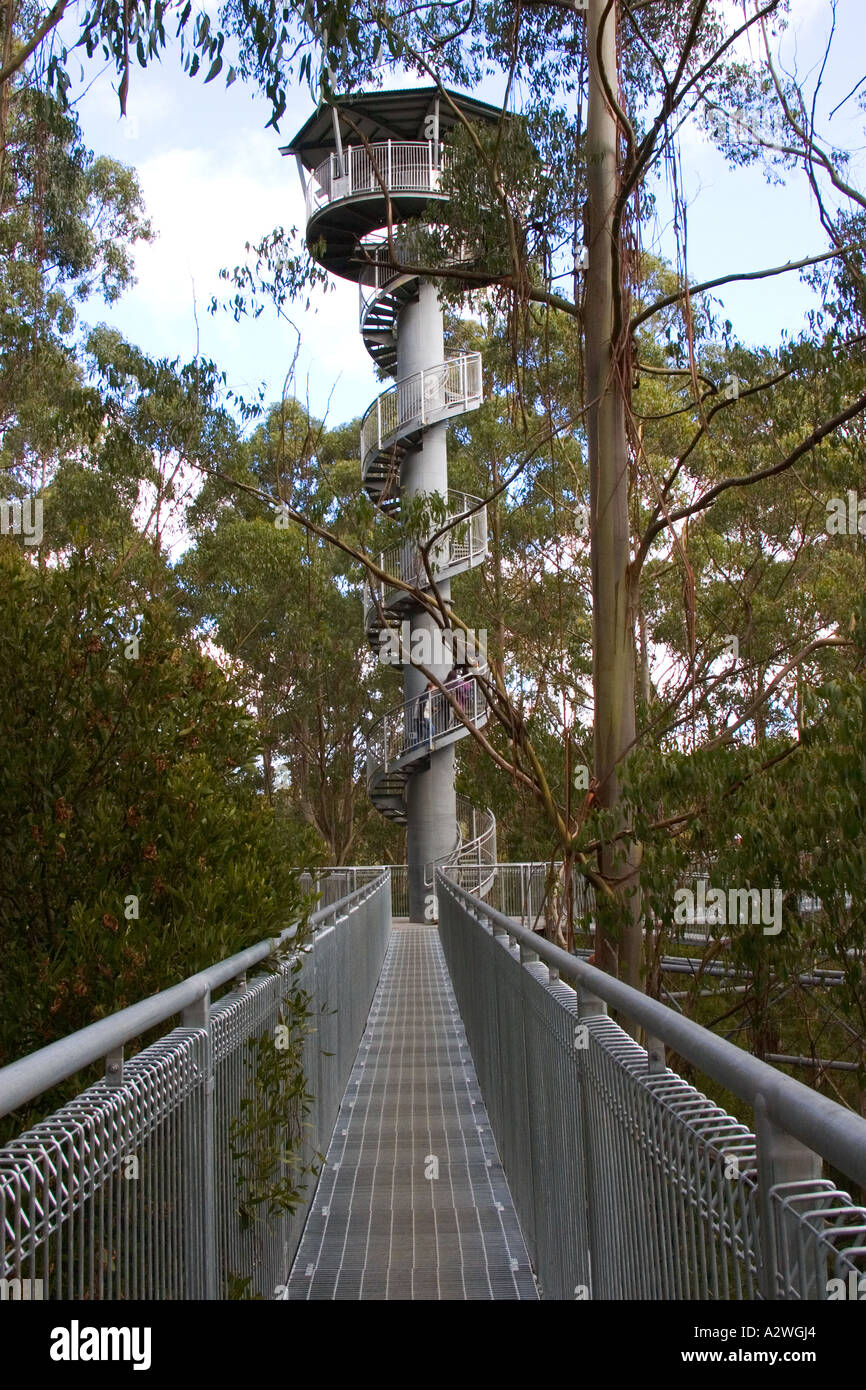 Aerial Rainforest Canopy Walkway High Resolution Stock Photography and ...
