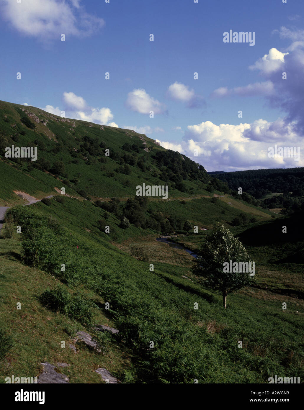 A valley in the remote Cambriam Mountains range in Mid-Wales between ...