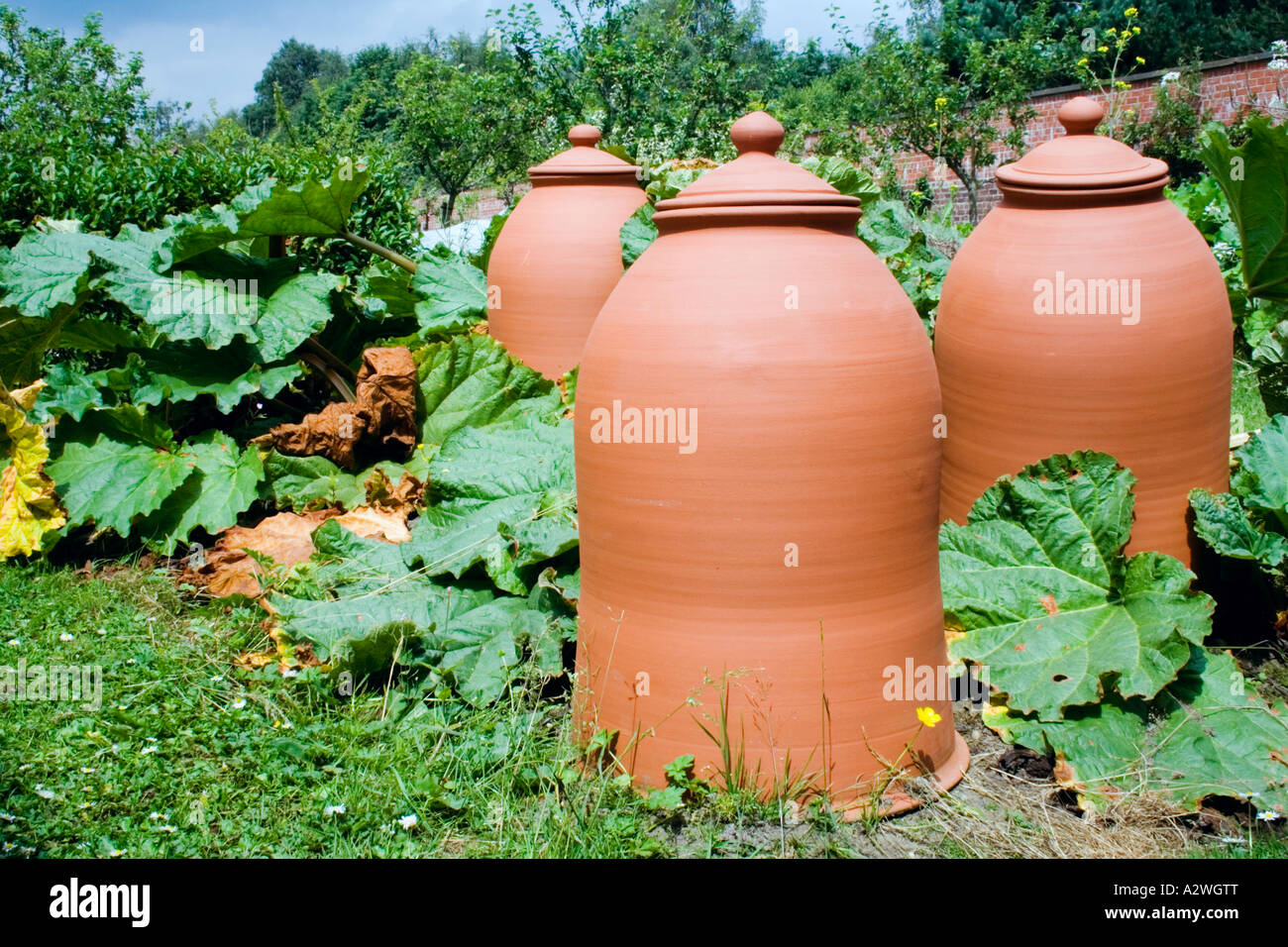 Garden Cloches High Resolution Stock Photography and Images - Alamy