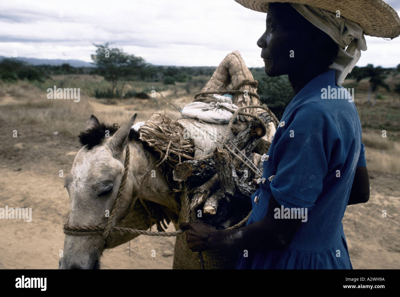Hinche hi-res stock photography and images - Alamy
