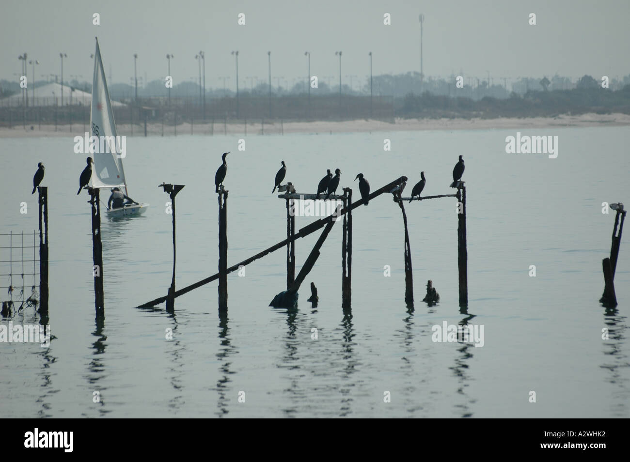 The ancient harbour in old Akko, Israel Stock Photo - Alamy