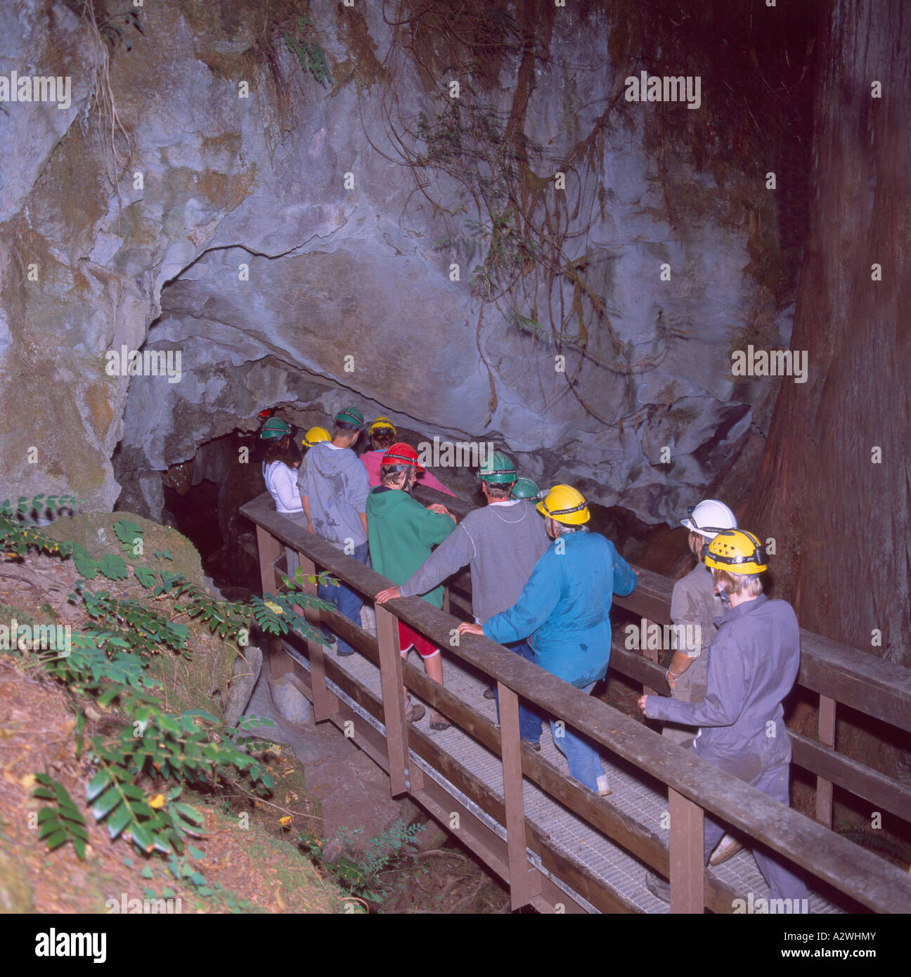 Tourist Spelunkers on Karst Trail to Lower Cave at Horne Lake Caves ...