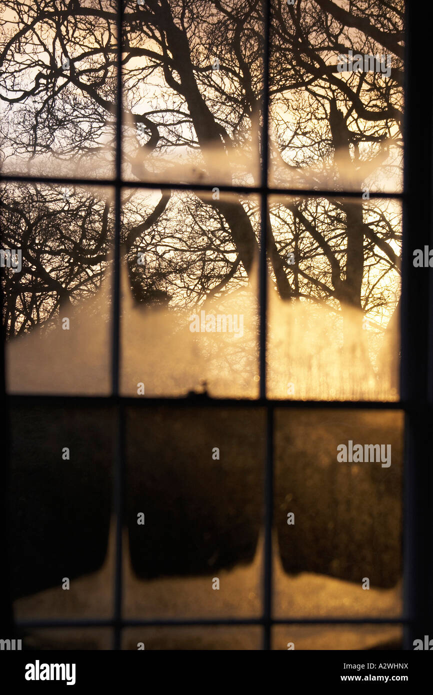 Sunrise coloured colourful sky with trees in silhouette and ...