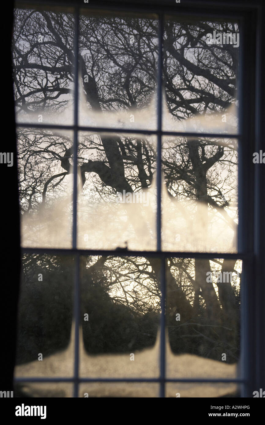 Sunrise coloured colourful sky with trees in silhouette and ...