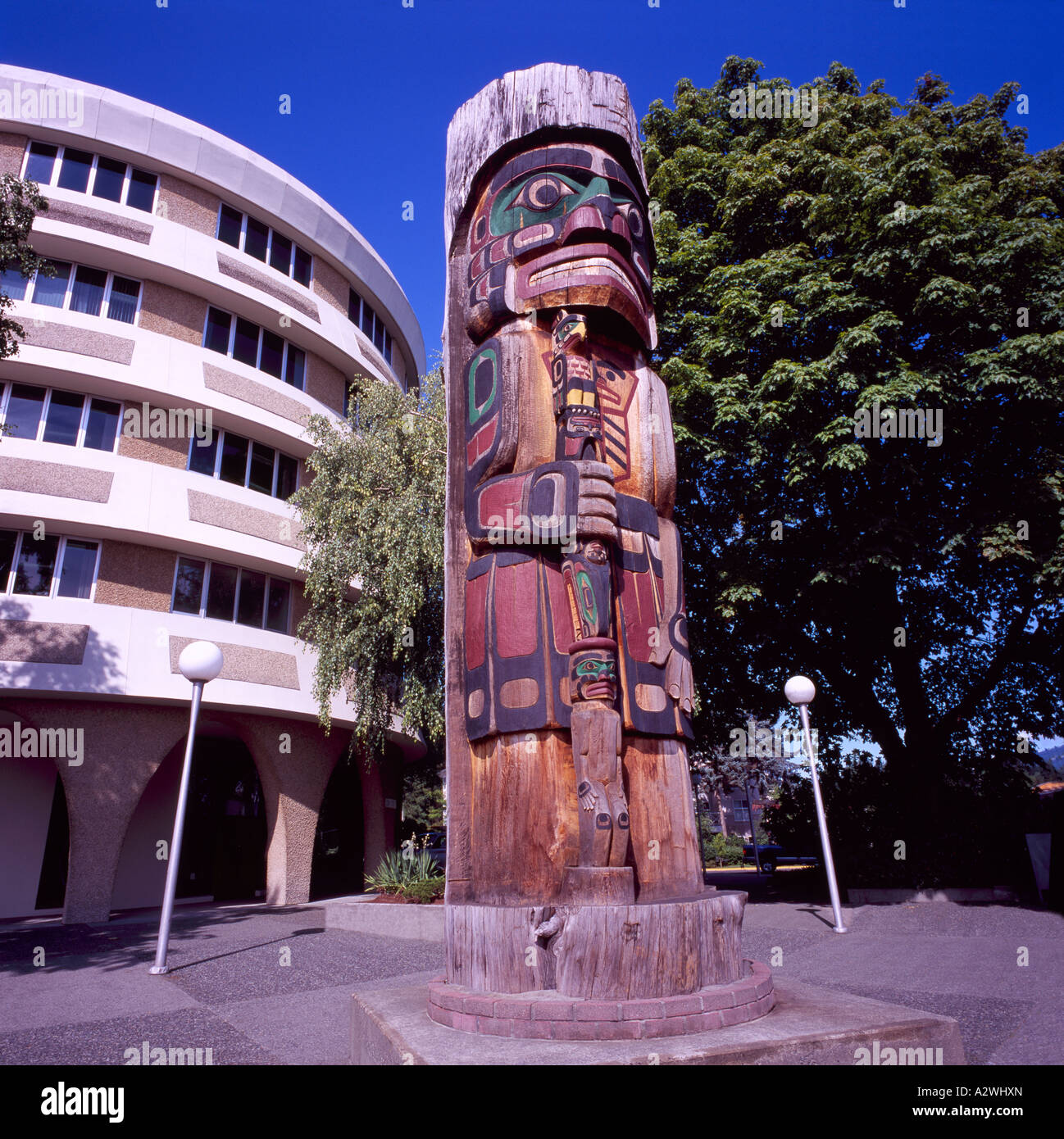 Worlds largest red cedar hi-res stock photography and images - Alamy