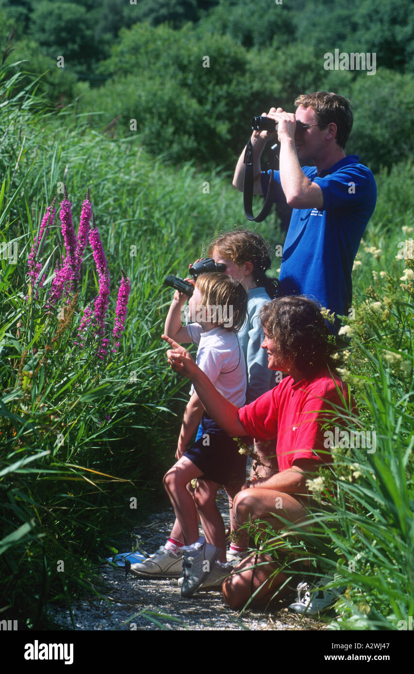 Family birdwatching united kingdom hi-res stock photography and images ...