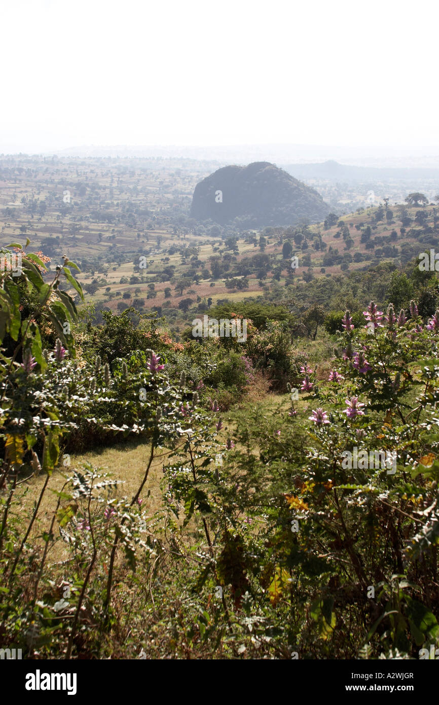 Nekemte hi-res stock photography and images - Alamy