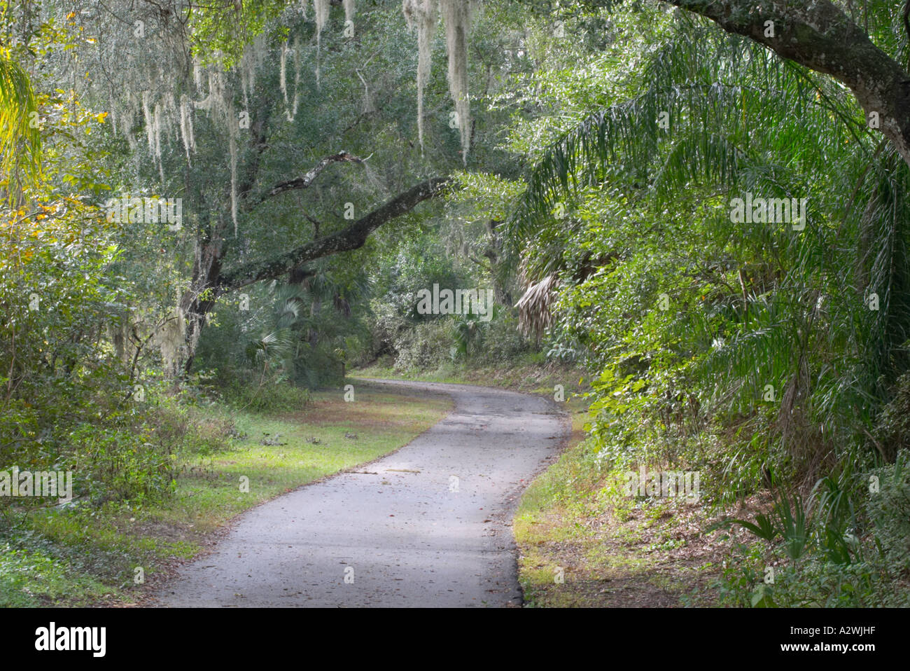 Ravine Gardens State Park High Resolution Stock Photography and Images ...
