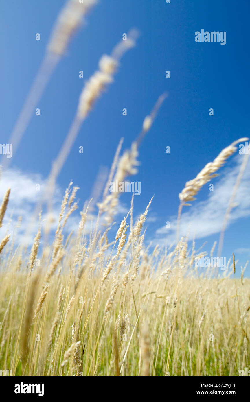 Against wales hi-res stock photography and images - Alamy