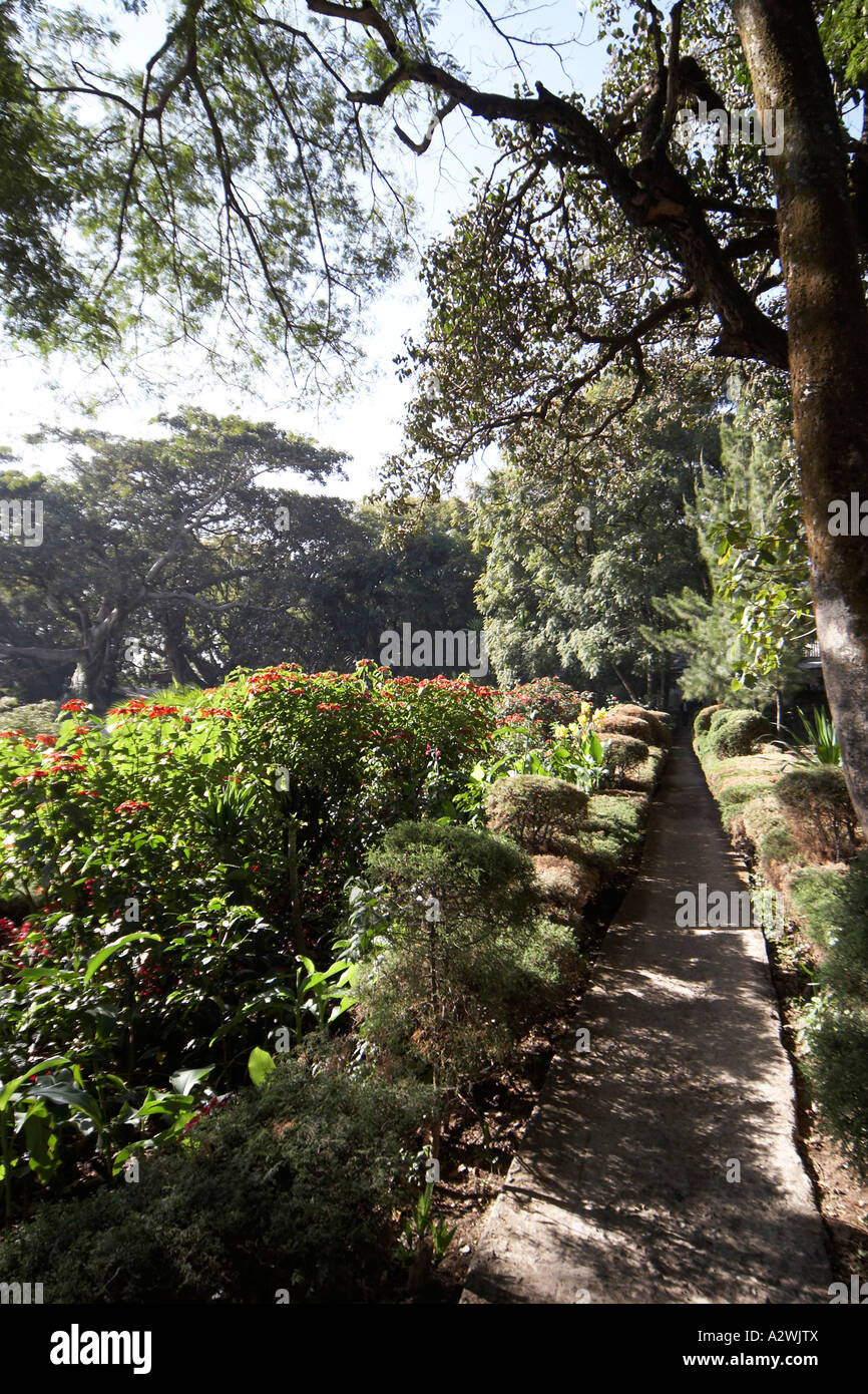 Flowers and trees in gardens of Ghion Hotel near Bahir Dar or Bahar Dar ...