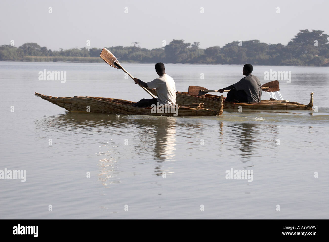 Two men paddling tankwas papyrus boats kayaks or canoes Lake Tana near ...
