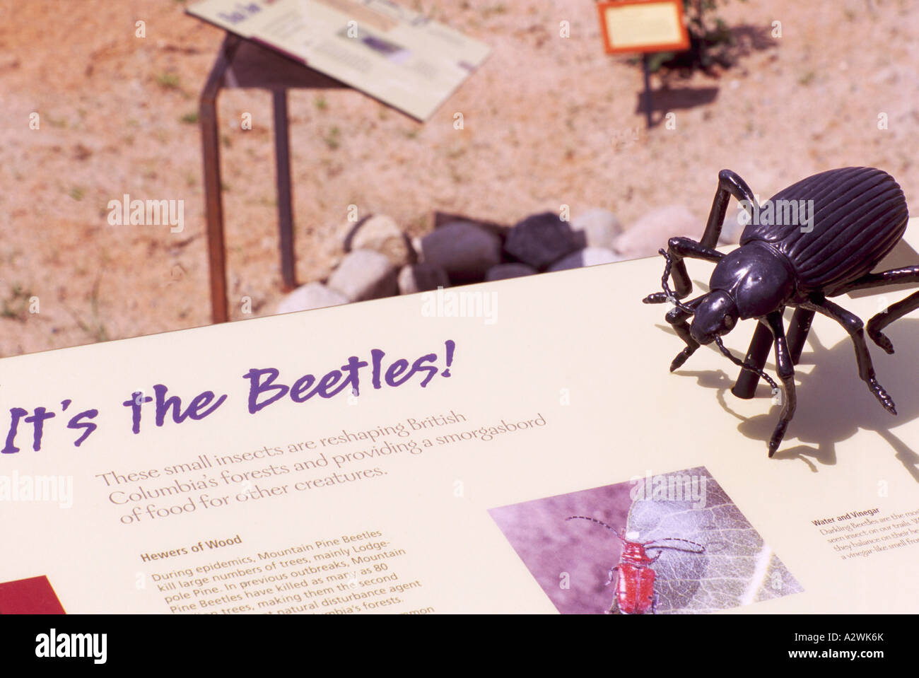 First Nations Display at the Nk'Mip Desert Cultural Centre in Osoyoos ...
