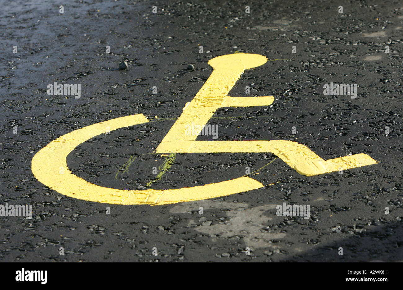 yellow freshly painted disabled sign on tarmac parking space on wet ...