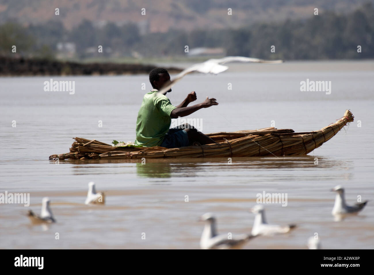 Boy paddling tankwas paprus reed boat kayak or canoe fising on Lake ...