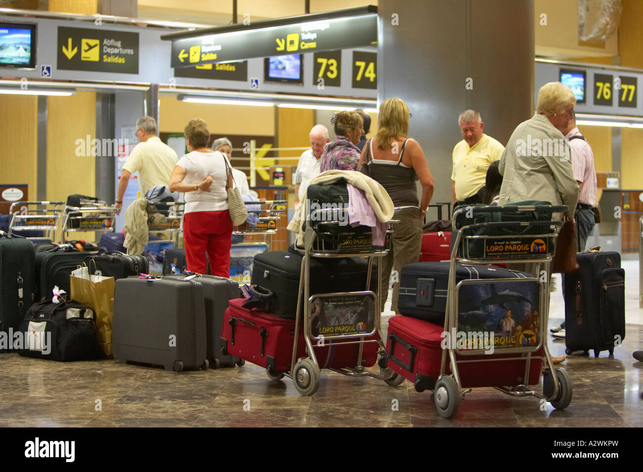 passengers queue with baggage at check in desk at Reina Sofia Sur TFS ...