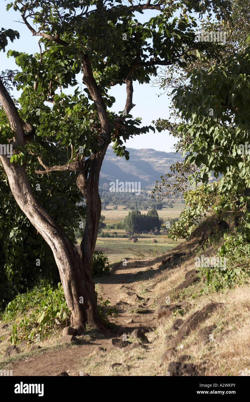 Pathway throgh trees near Tis Isat smoking water waterfalls near Bahir ...