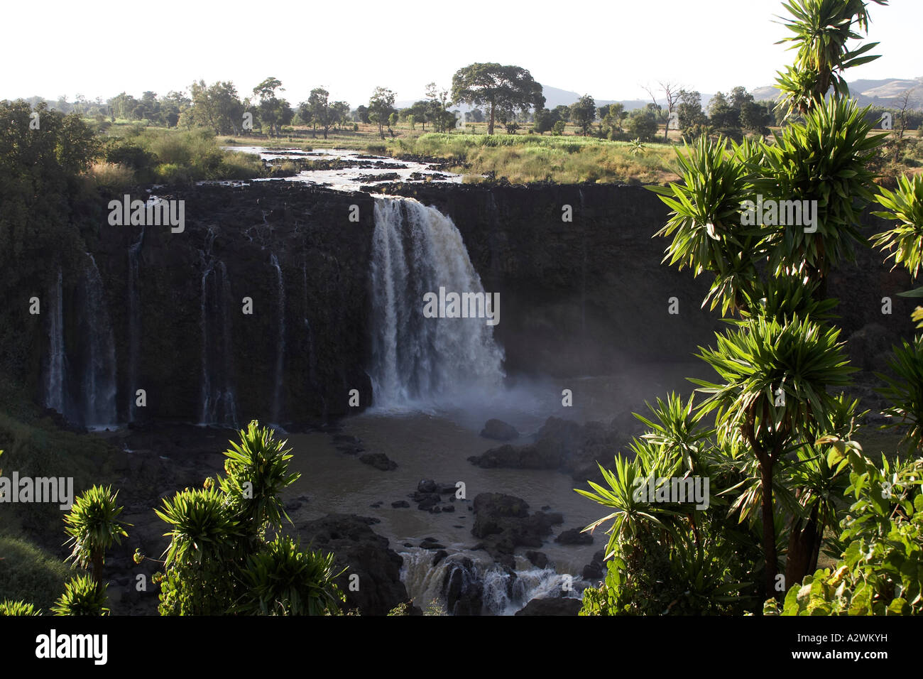 Tis Isat smoking water Blue Nile waterfalls near Bahir Dar or Bahar Dar ...