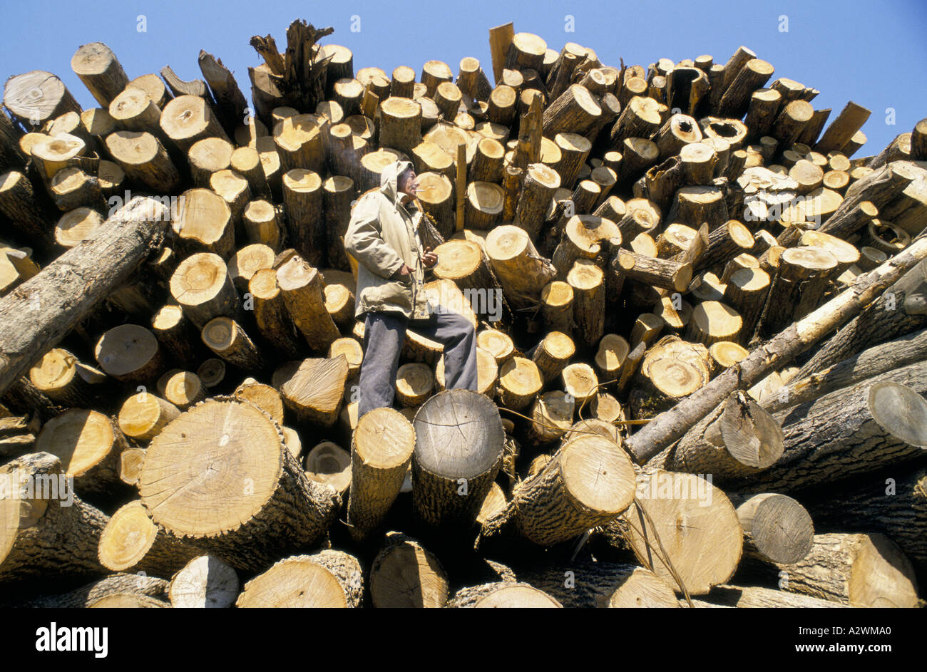 Logging japan hi-res stock photography and images - Alamy