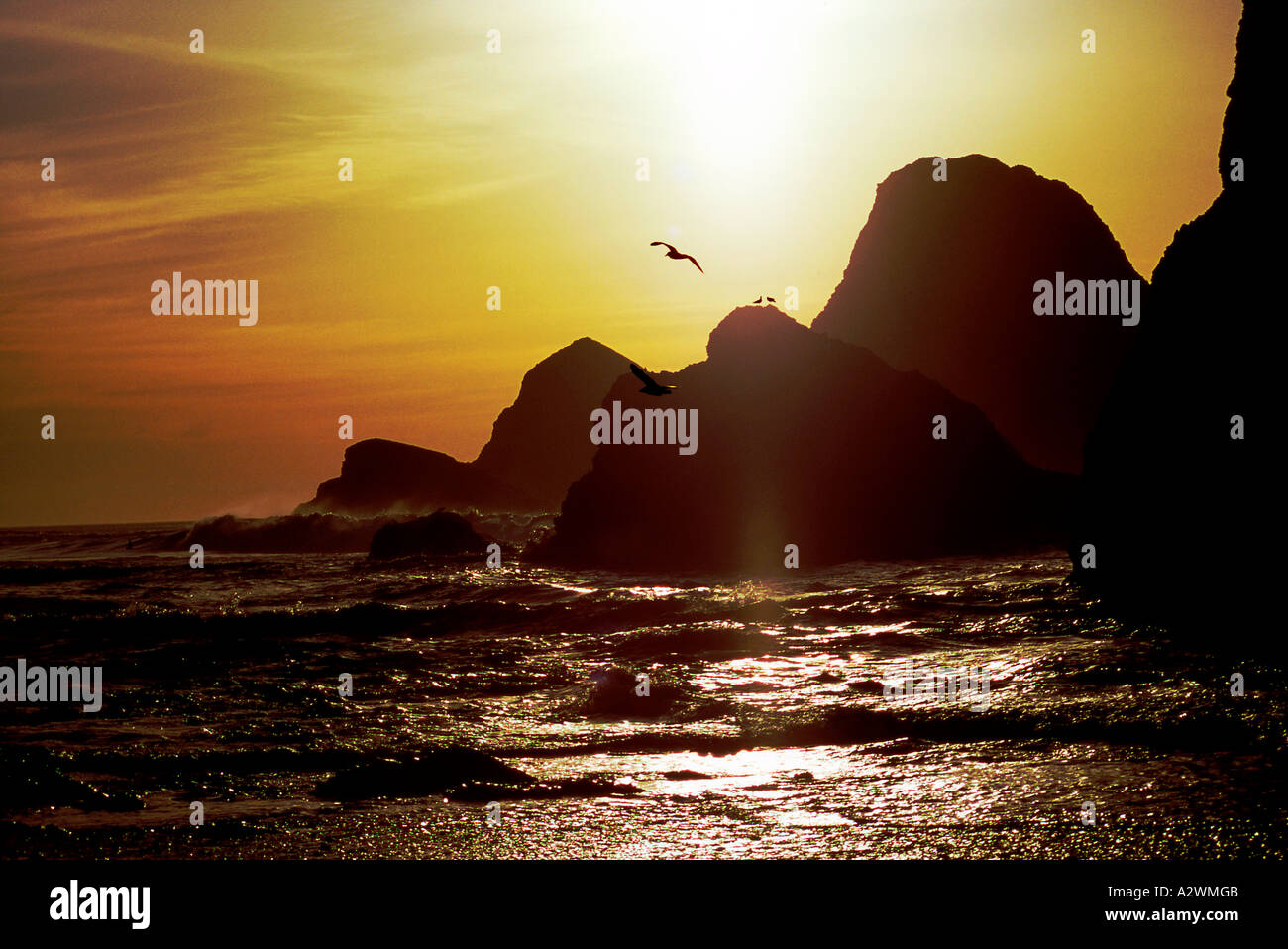 Sea Stacks and Gulls. Sunset on the Oregon Coast Stock Photo - Alamy