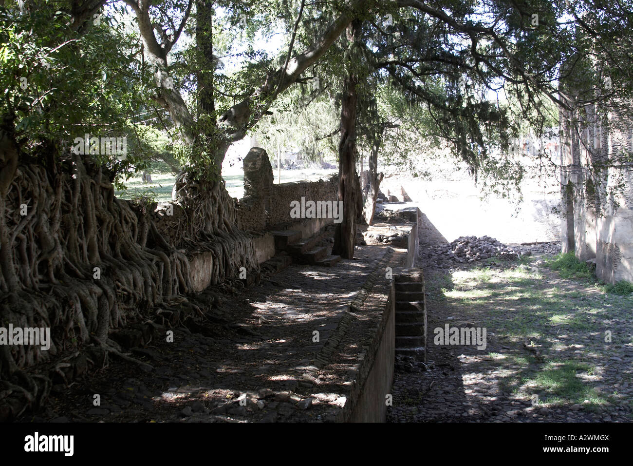 Wall of Fasalidas Bath in Gonder 17 19C capital city of Ethiopia Africa ...