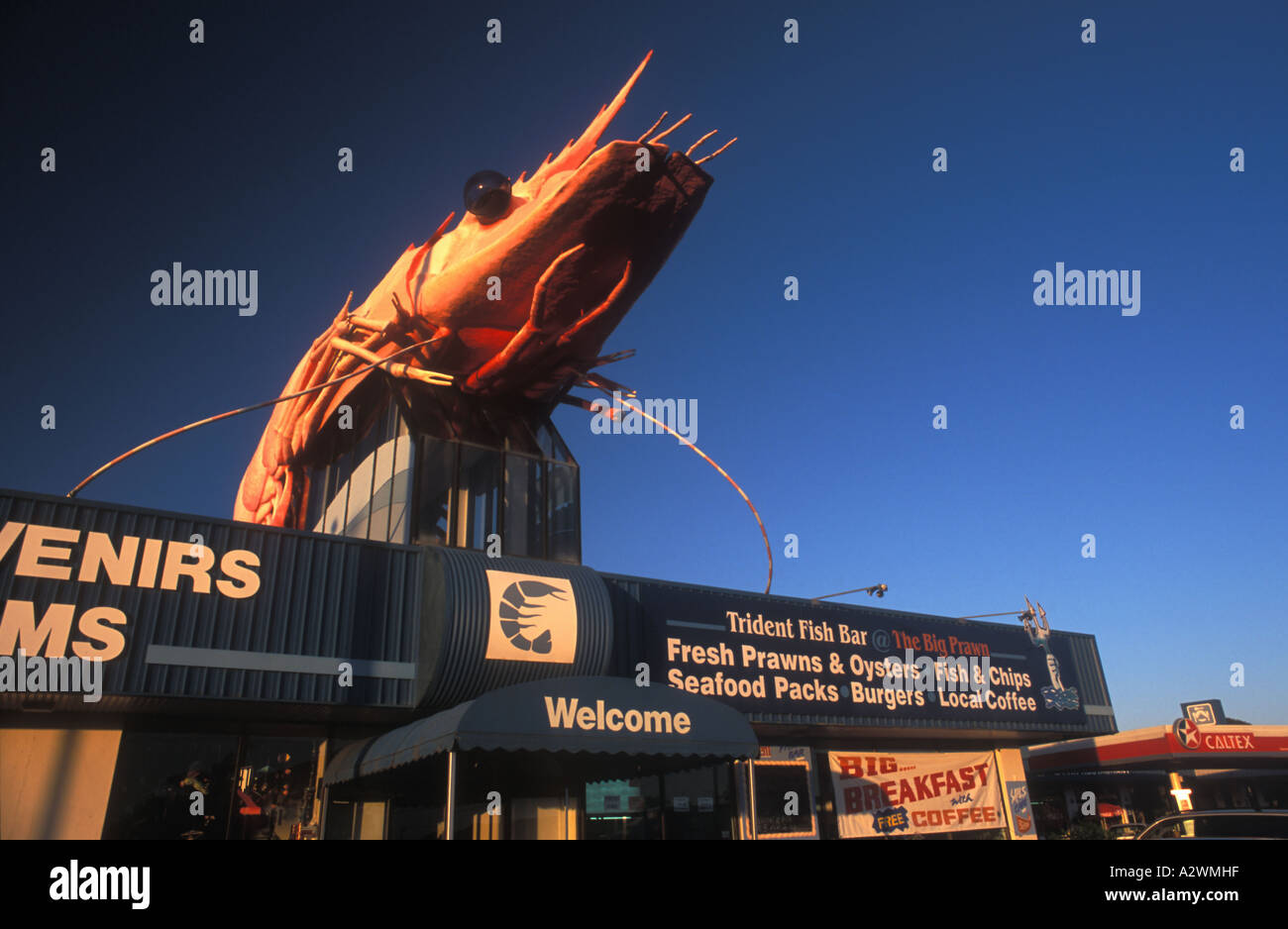 Australia big prawn hi-res stock photography and images - Alamy