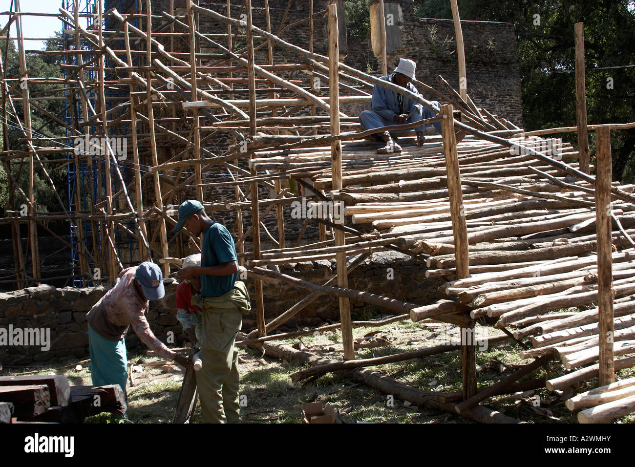 Workmen working with eucalyptus tree scaffolding on restoration of ...