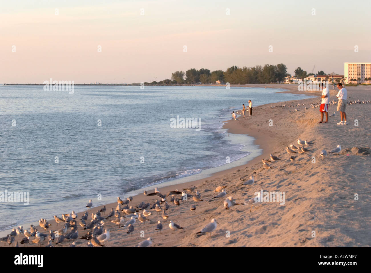 Late afternoon on Gulf of Mexico beach in Venice Florida Stock Photo ...
