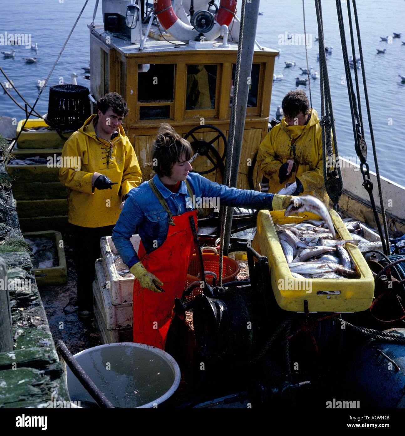 Shetland fishermen hi-res stock photography and images - Alamy