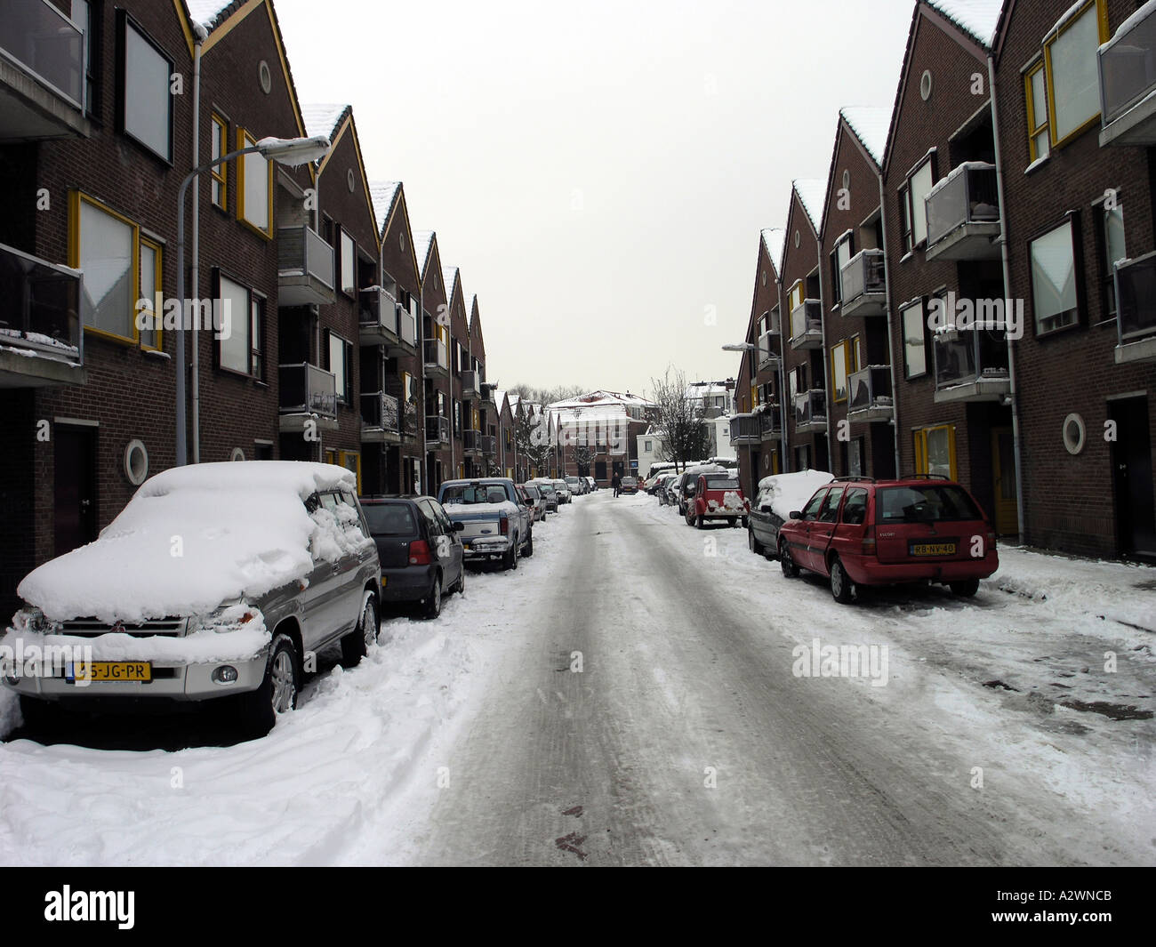 Dutch Winter in Haarlem Stock Photo - Alamy