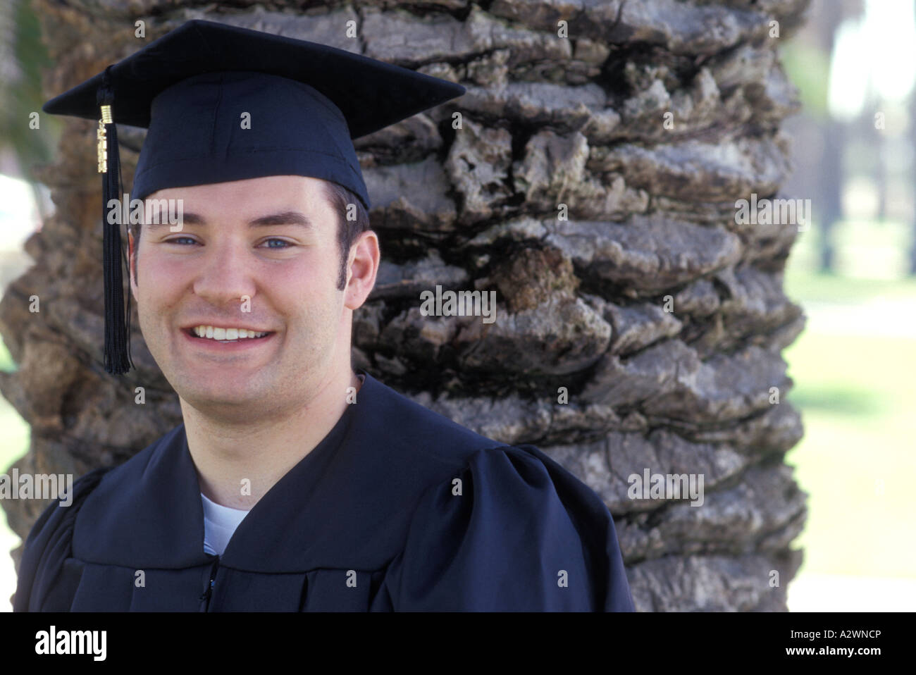 Young man in graduation outfit, smiling, portrait Stock Photo - Alamy