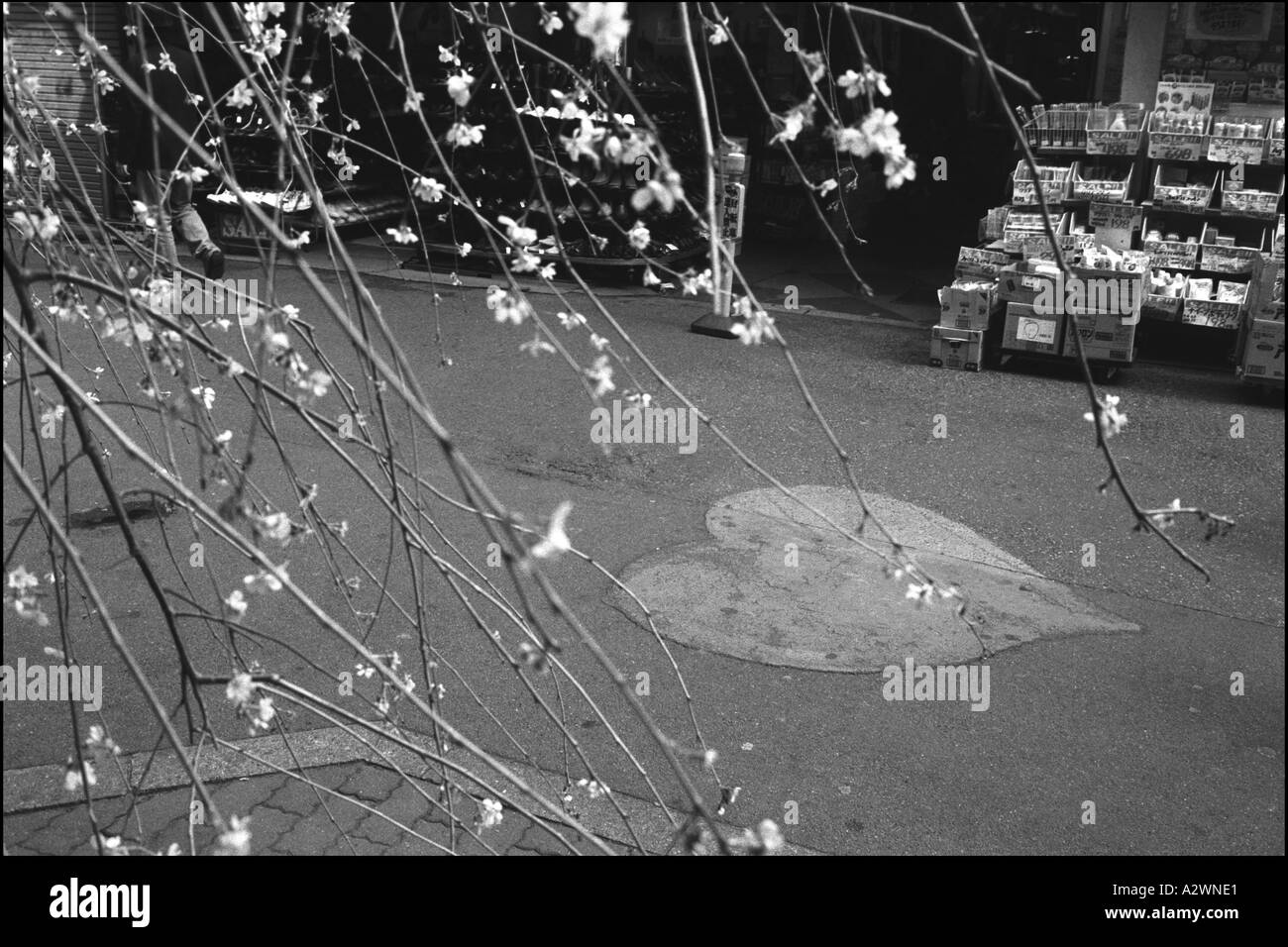 heart shape stuck on a pavement Stock Photo - Alamy