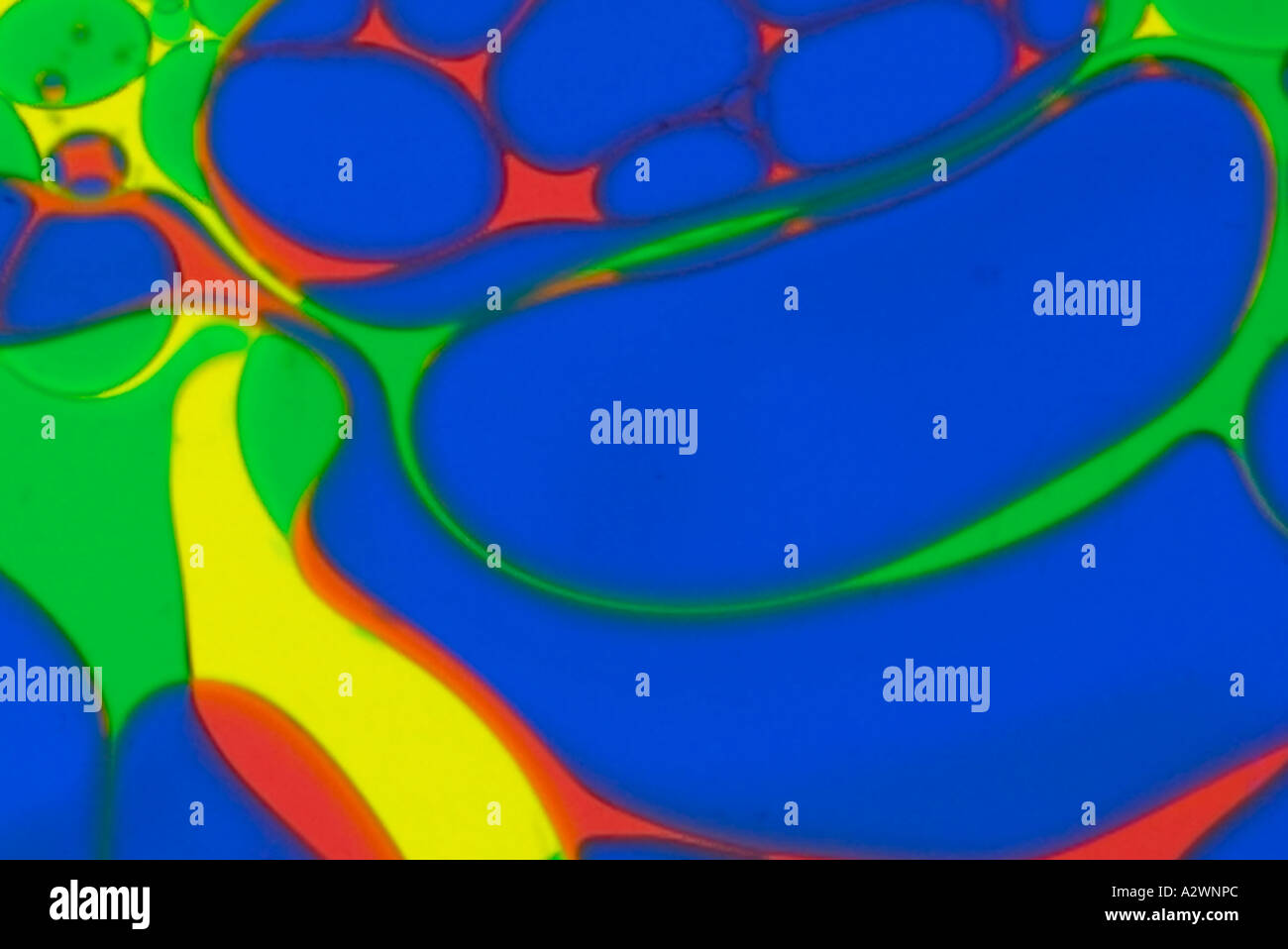 Abstract blobs of color Stock Photo - Alamy
