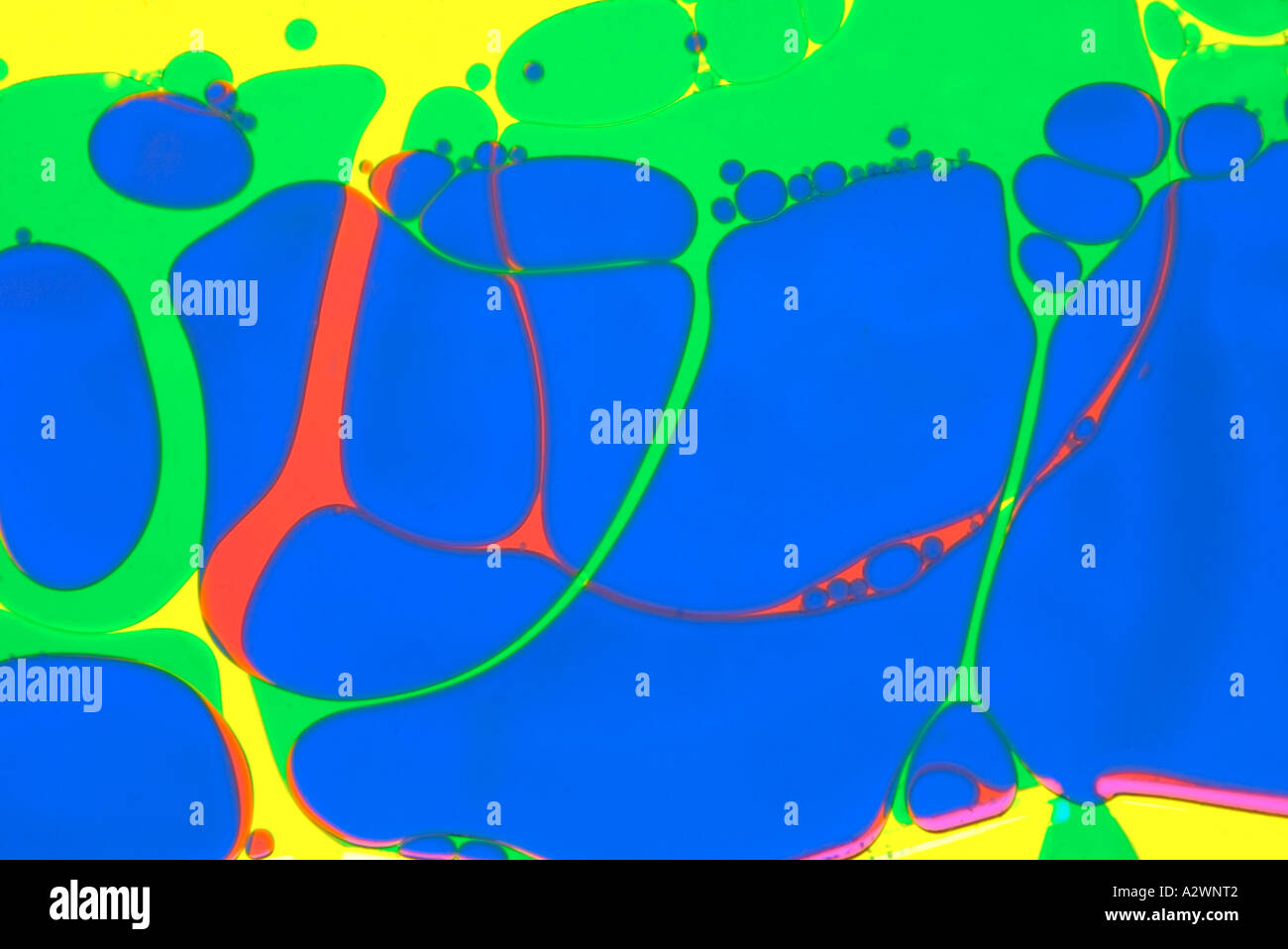 Abstract blobs of color Stock Photo - Alamy