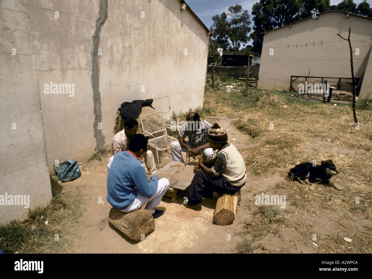 Group men sitting on logs hi-res stock photography and images - Alamy