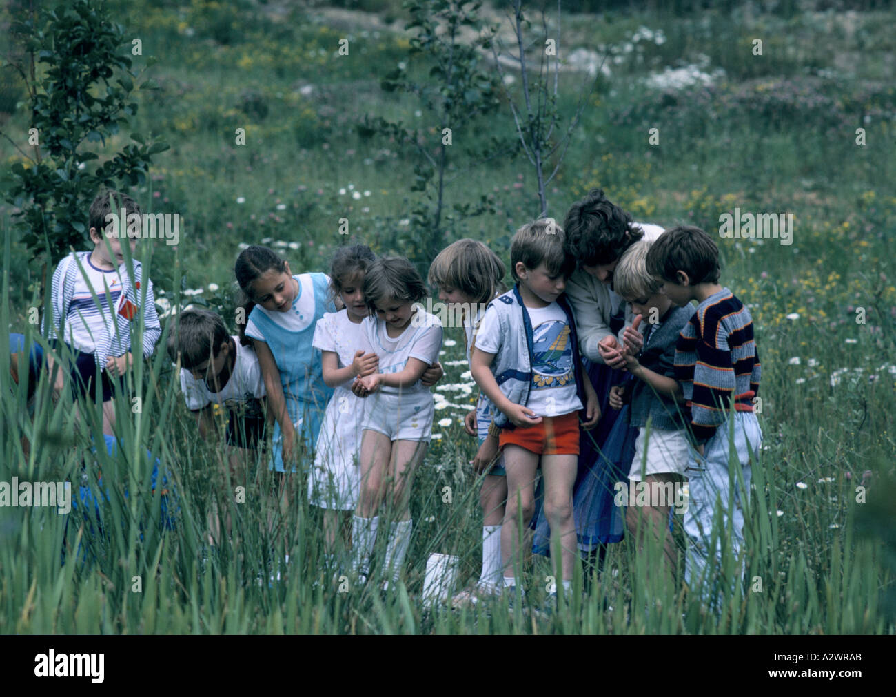 primary school trip teacher with children in countryside Stock Photo ...