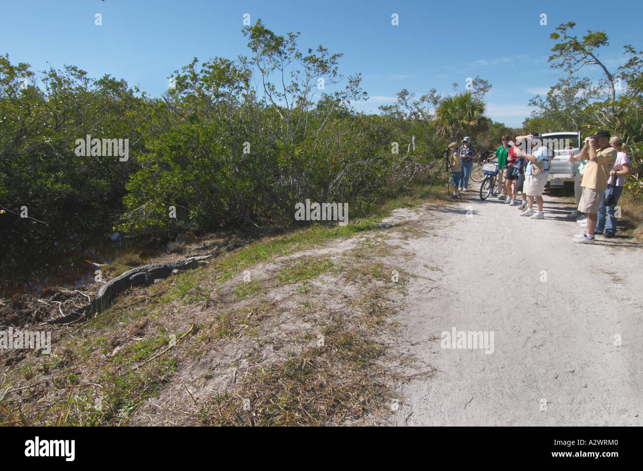 Crocodile national wildlife refuge hi-res stock photography and images ...