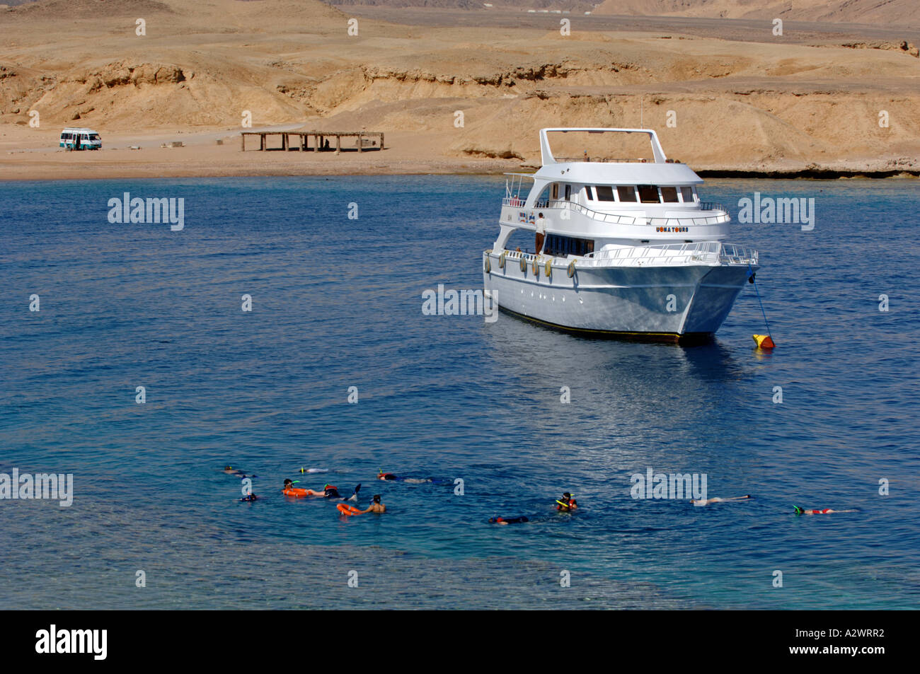 Sharm El Sheikh Egypt Diving at Gemma Nock blog