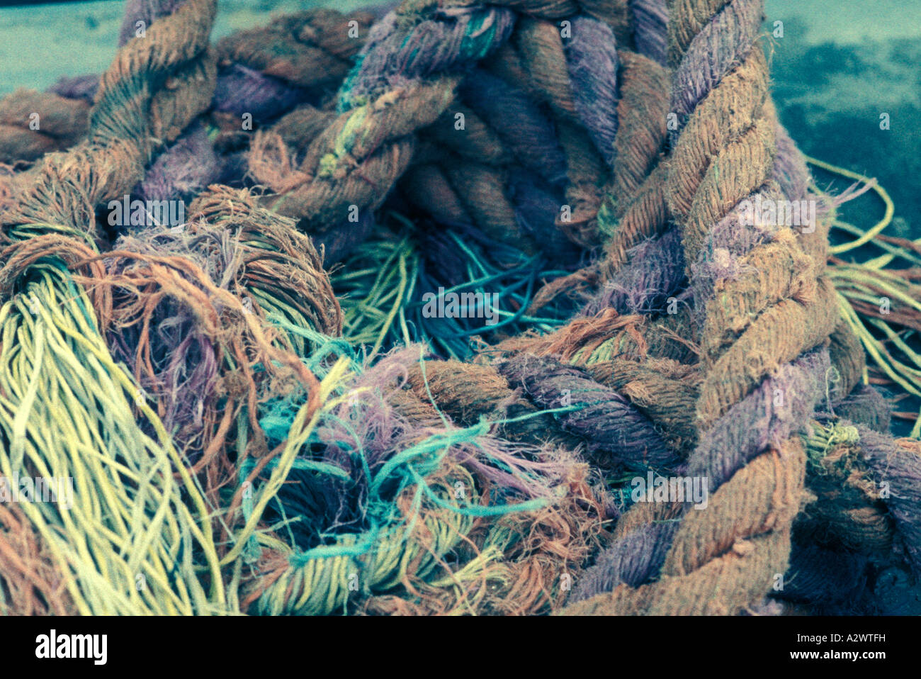 Orange rope, close up Stock Photo - Alamy