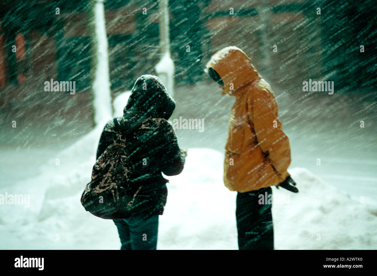 Lost in the snow. Aomori Japan Stock Photo - Alamy
