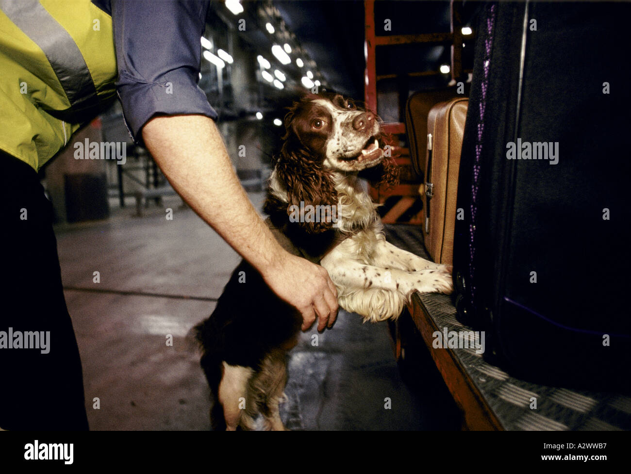 Customs officer uk hi-res stock photography and images - Alamy